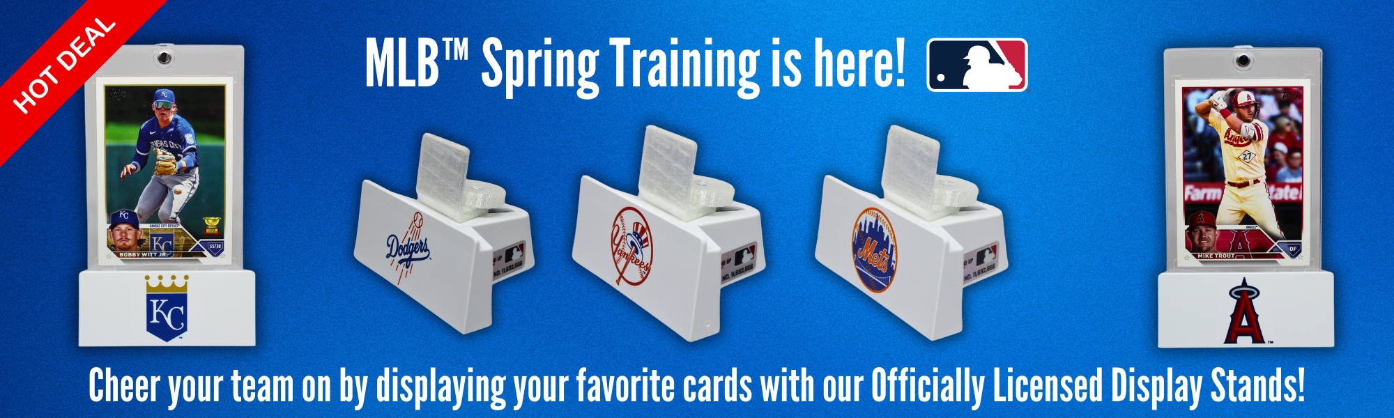 Show Off Your Collection in Style! Put Your Brand on the Stand! – Stand ...